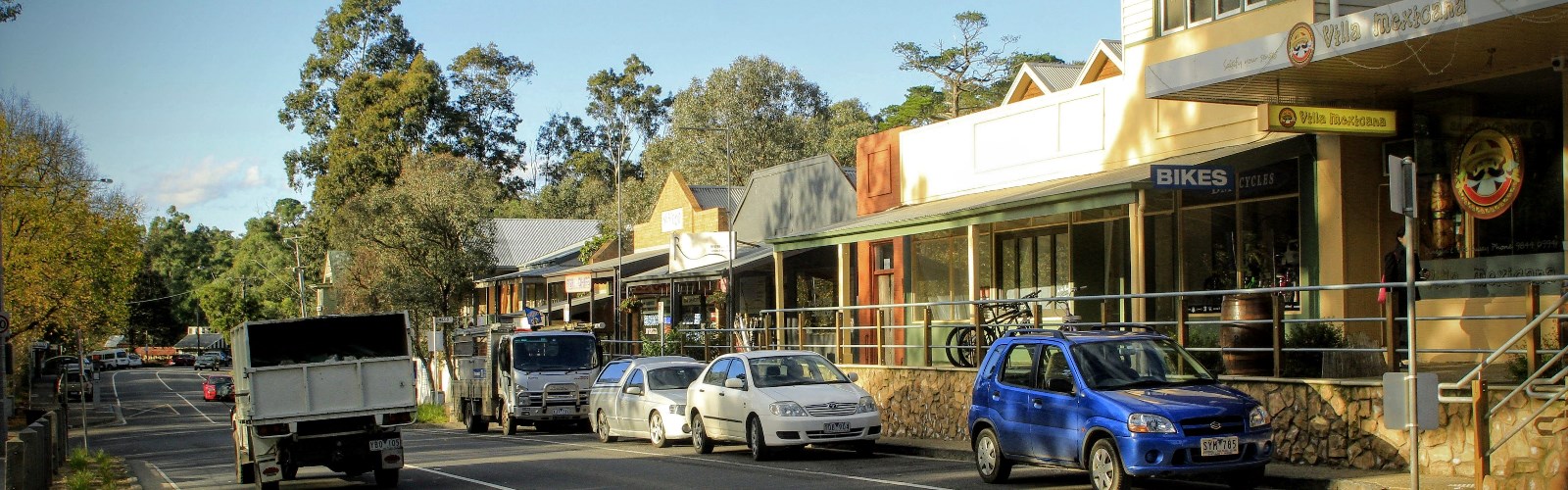 Manningham | Australian Greens Victoria