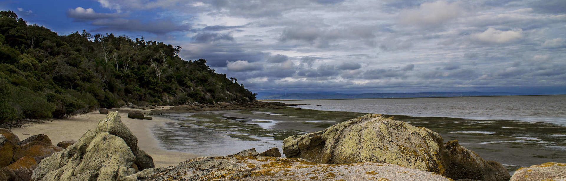 Greater Gippsland | Australian Greens Victoria