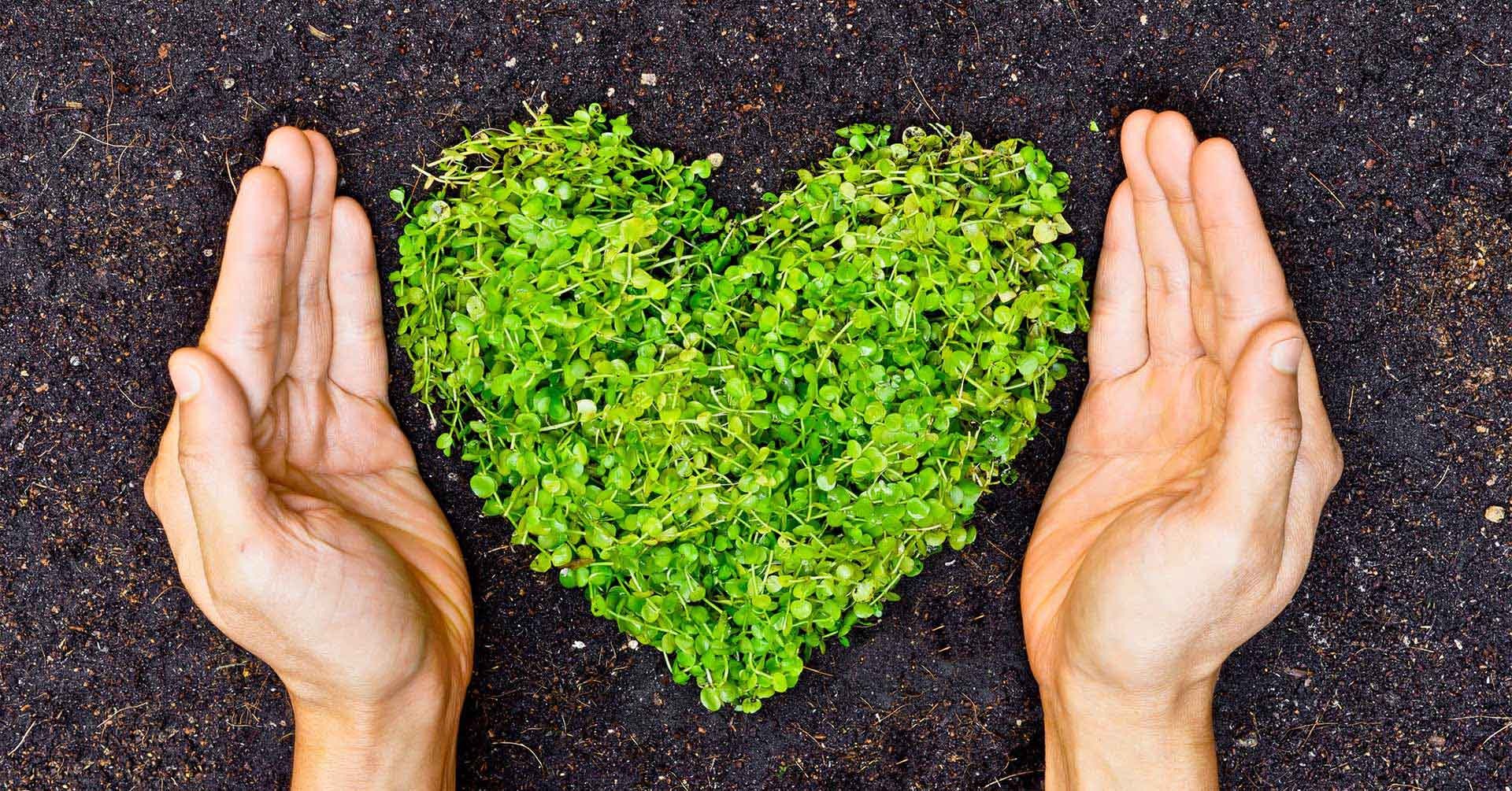 About this site | Australian Greens