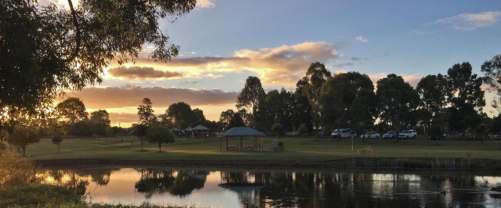 Logan Branch | Queensland Greens