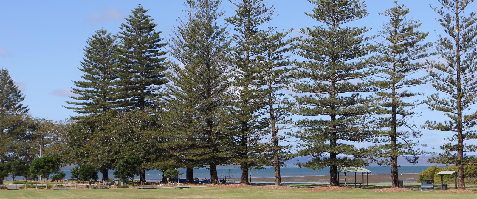 Redlands Branch | Queensland Greens