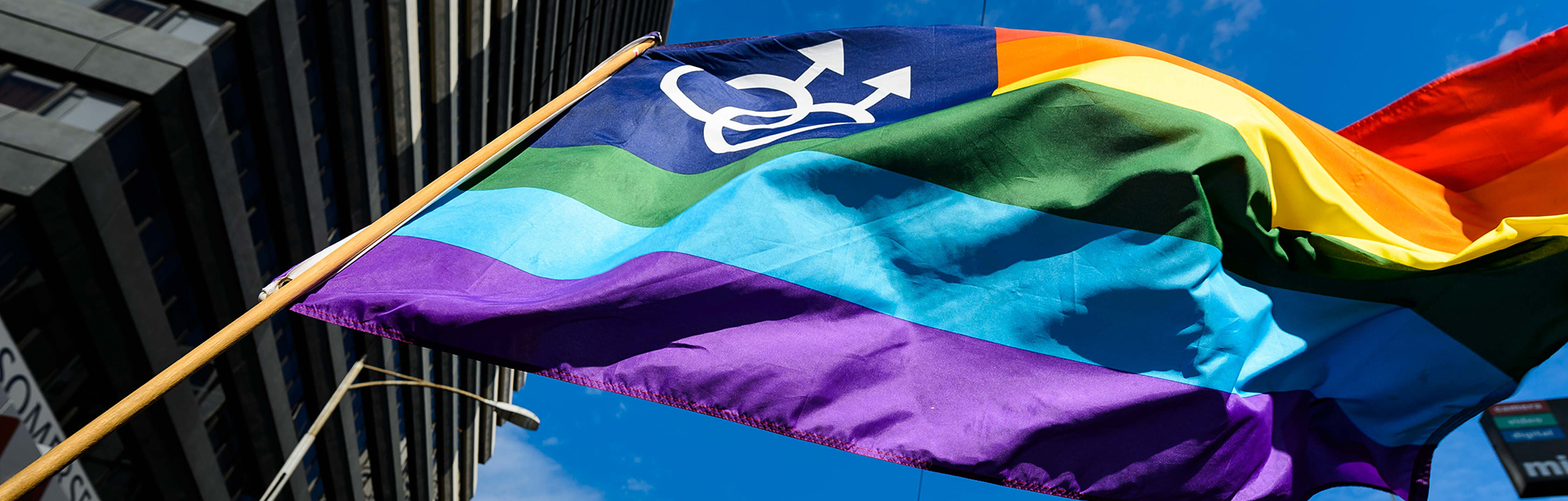 Queer Greens | Australian Greens Victoria