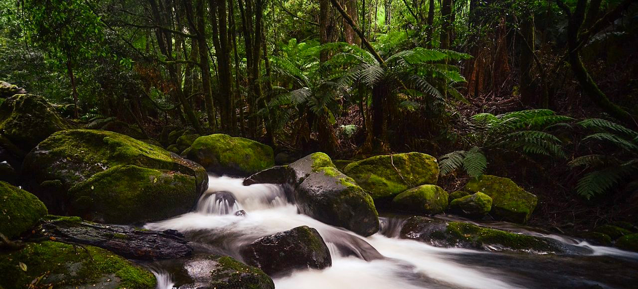 Yarra Ranges | Australian Greens Victoria