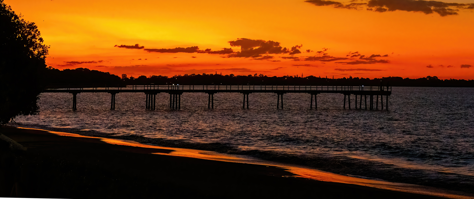 Wide Bay - Burnett | Queensland Greens