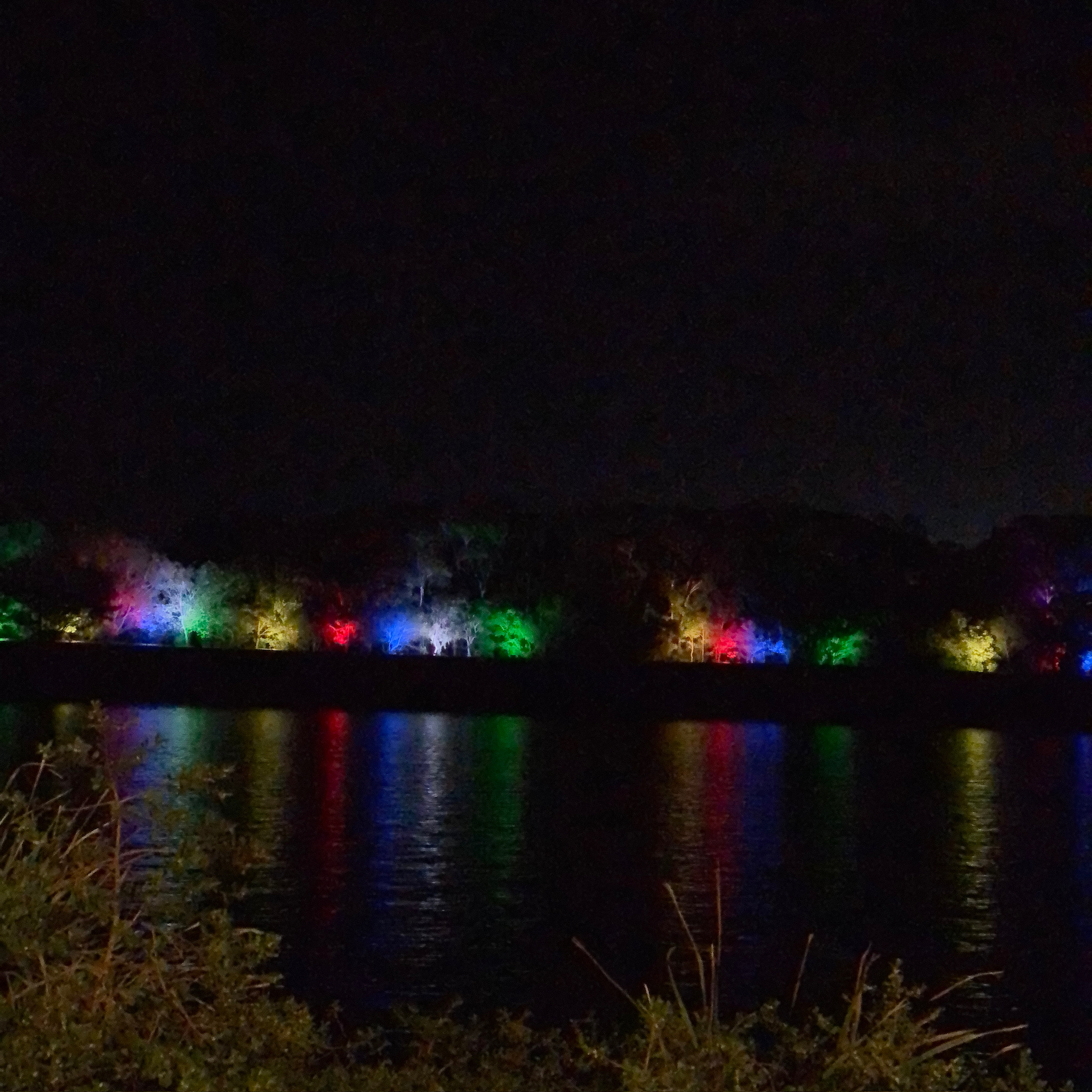 Gladstone & Callide | Queensland Greens