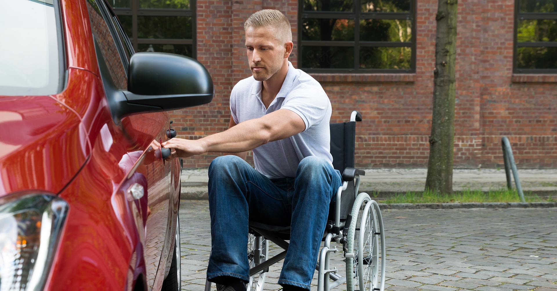 Disability Rights and Inclusion | Greens NSW