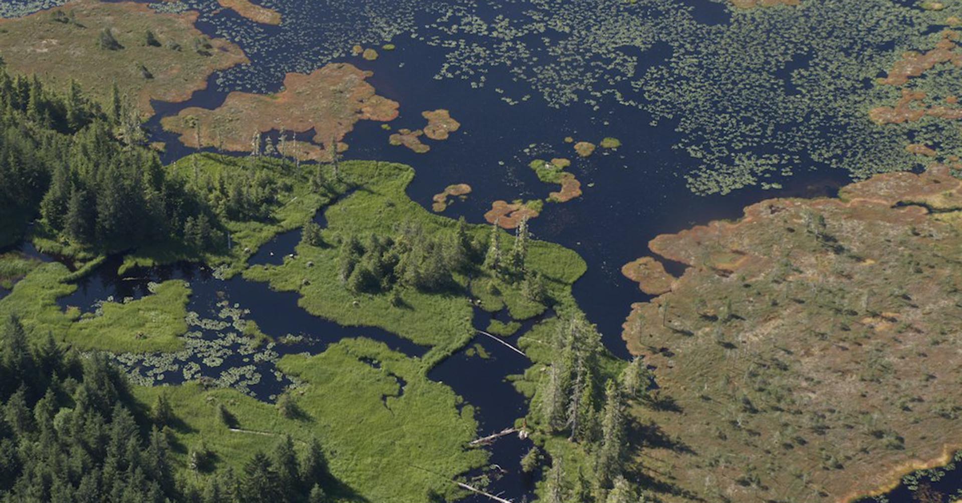 Biodiversity & Environment | Queensland Greens