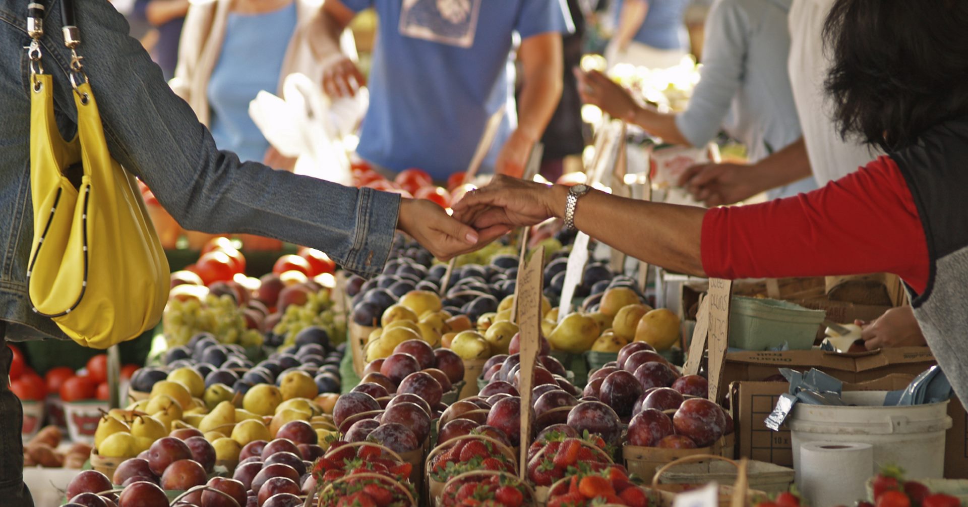 Economic Justice | Australian Greens