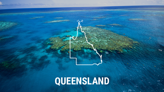 About the Greens | Australian Greens