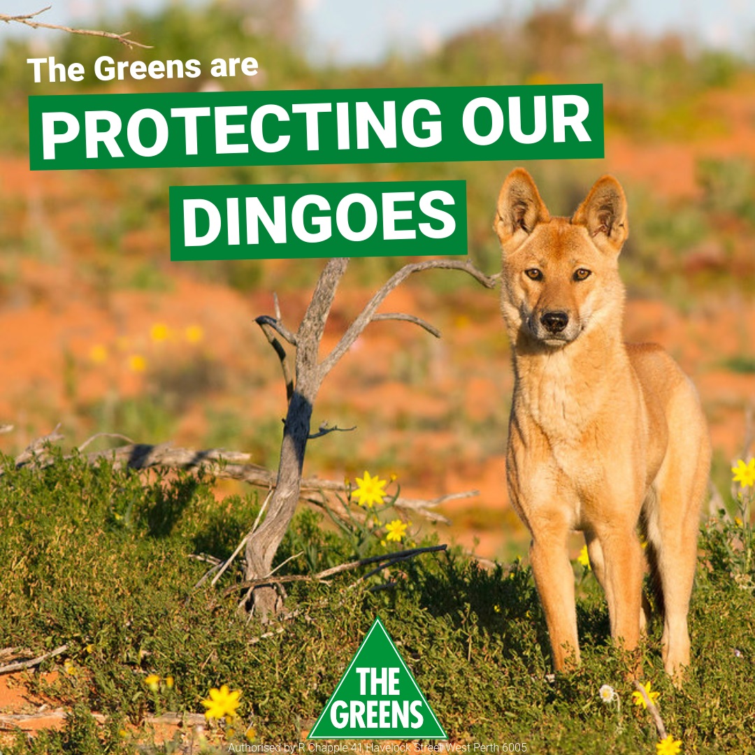 Robin Chapple’s June Update | Greens WA