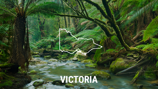 About the Greens | Australian Greens